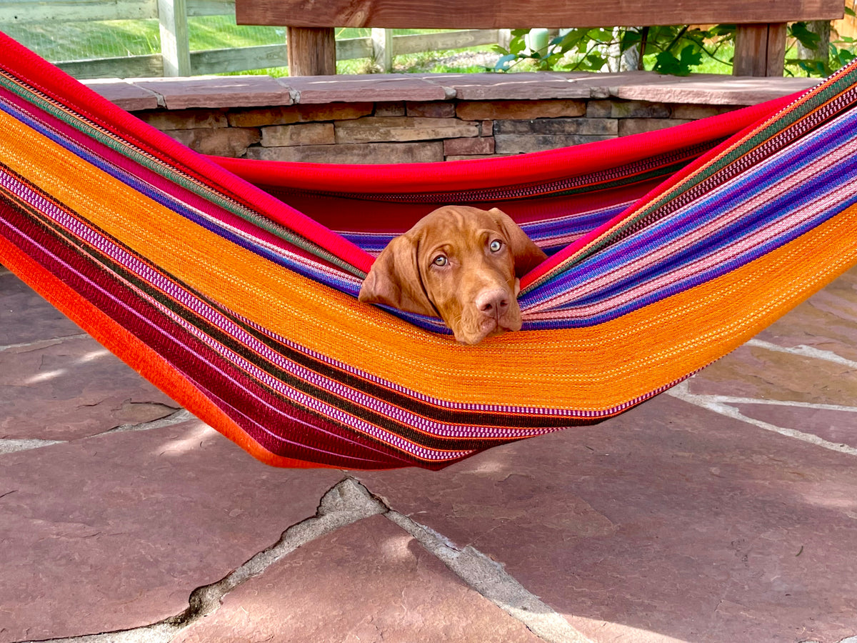 Rainbow Purple Large Hammock – Loom Colorado